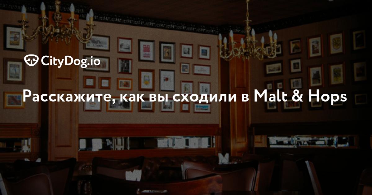 Расскажите, как вы сходили в Malt & Hops - CityDog.io