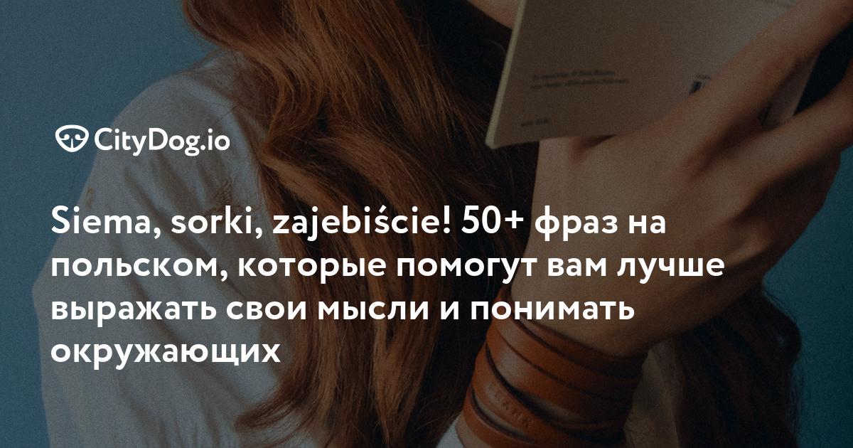 50+ выражений на каждый день, которые помогут общаться в Польше - CityDog.io