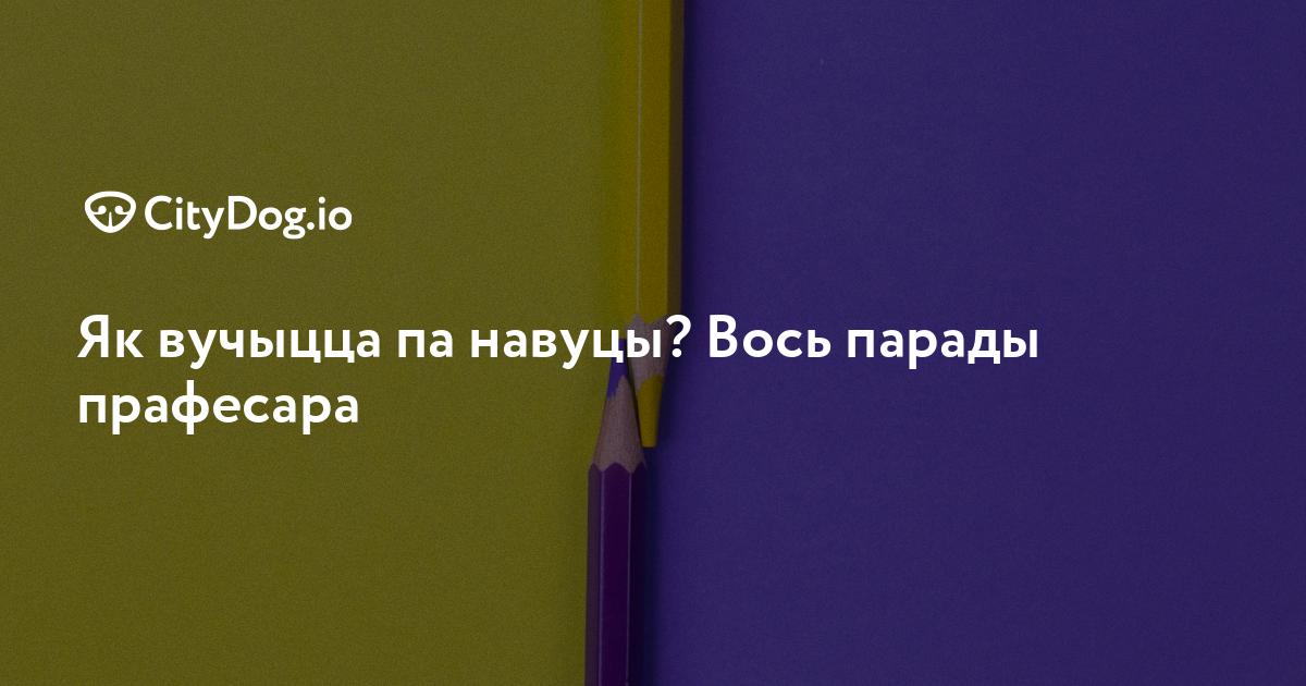 Как правильно учиться? - CityDog.io